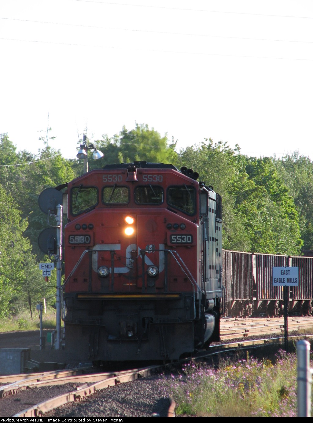 CN 5530